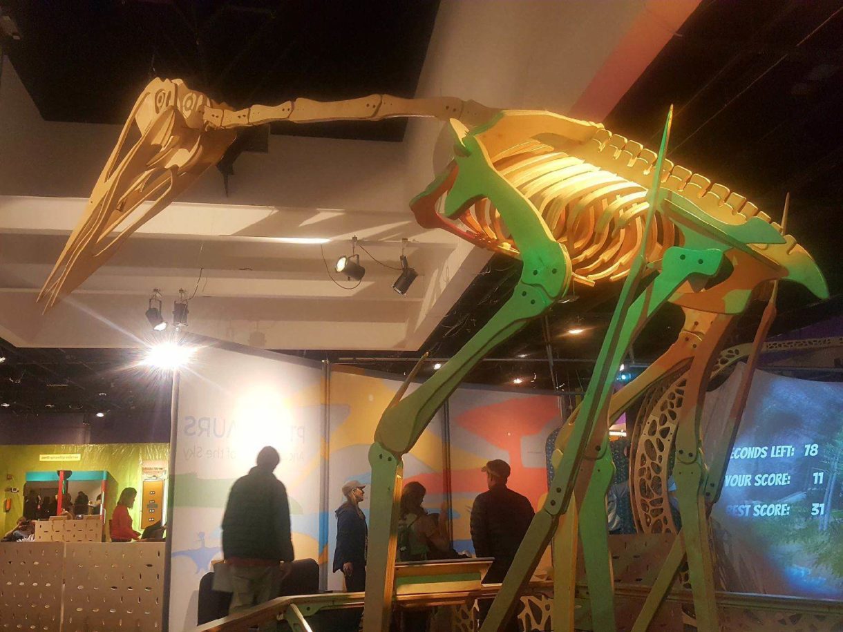 PTEROSAURS: ANCIENT RULERS OF THE SKY At SCIENCEWORKS MUSEUM