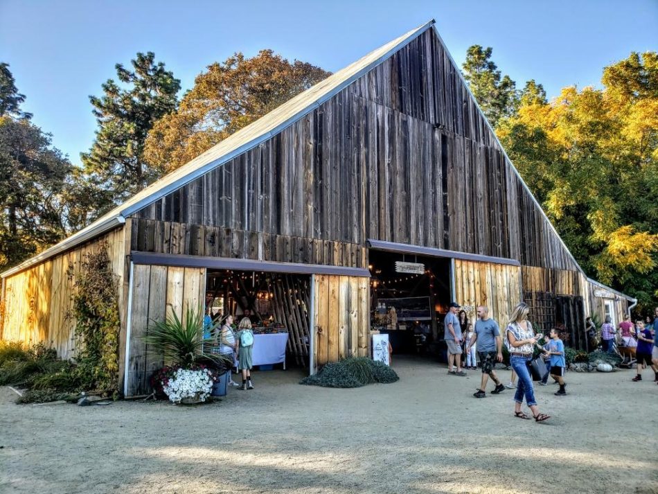 PHEASANT FIELDS FARMS HARVEST FESTIVAL